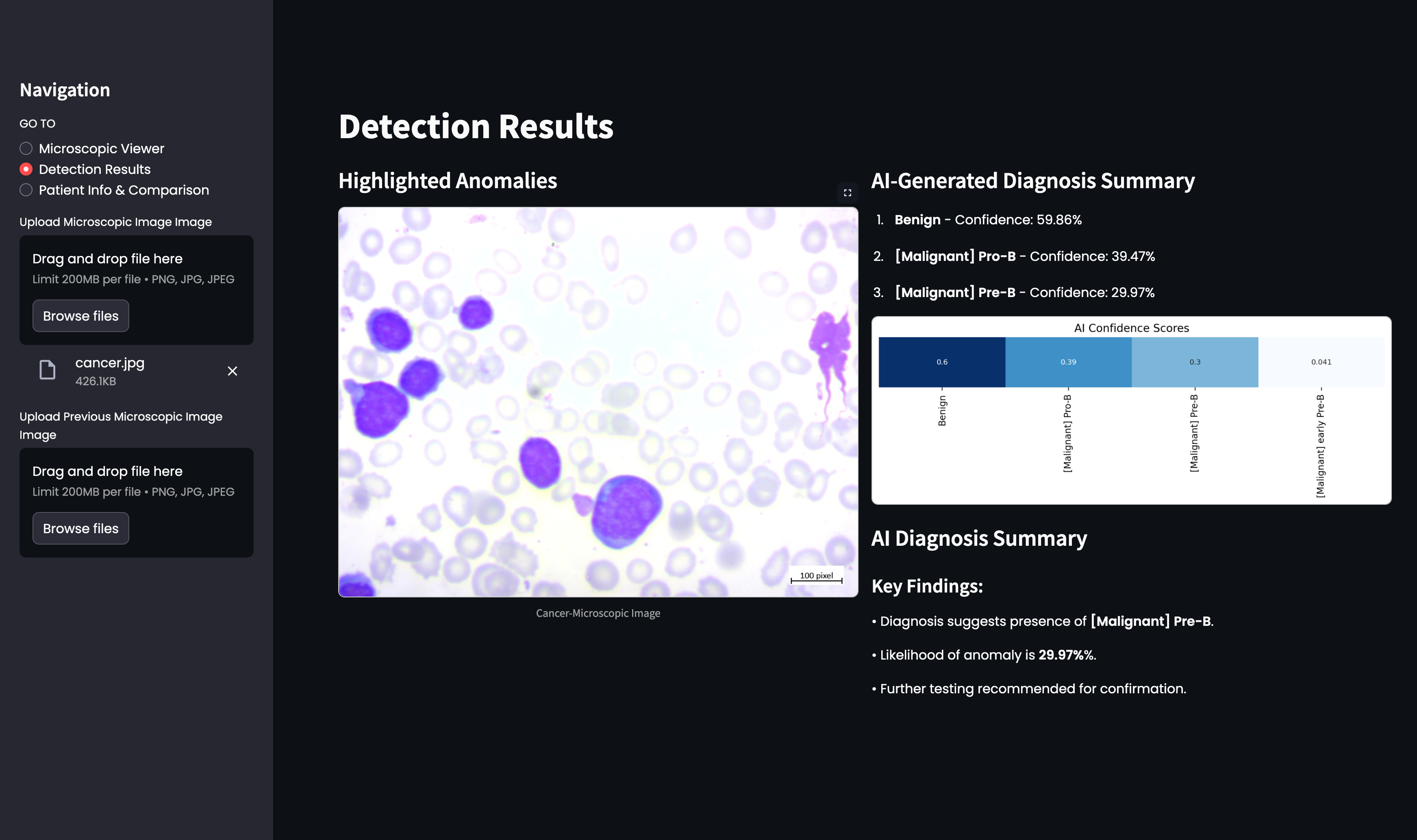 AI in Hematology with ResNet50 for Blood Cancer Classification - Tech4Biz
